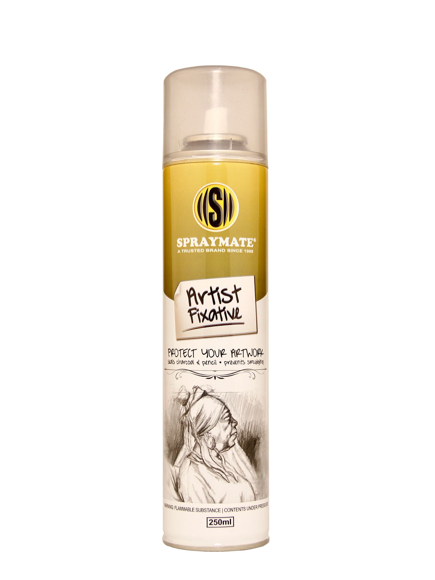 Artist Fixative Gloss Spray 250ml – Buchel Homes