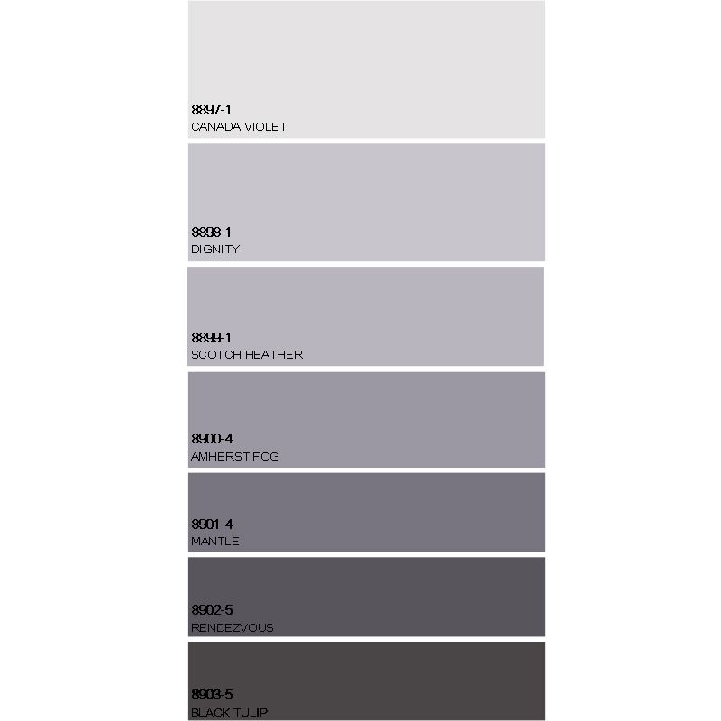 F4 Paint Colour Card Swatch 240mm x 50mm (7 Colours) – Buchel Homes